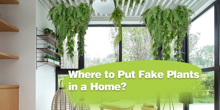 Where to Put Fake Plants in a Home? - EdenVert