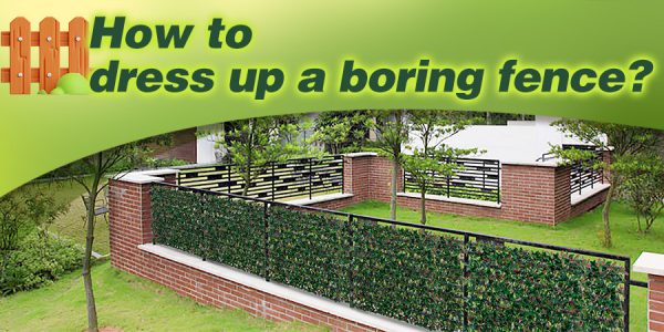 How to dress up a boring fence? - EdenVert
