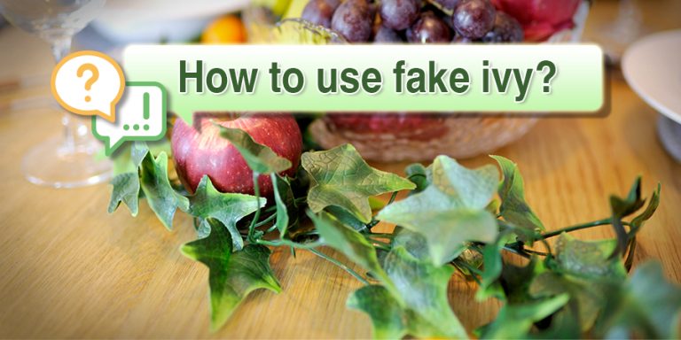 How to use fake ivy? - EdenVert